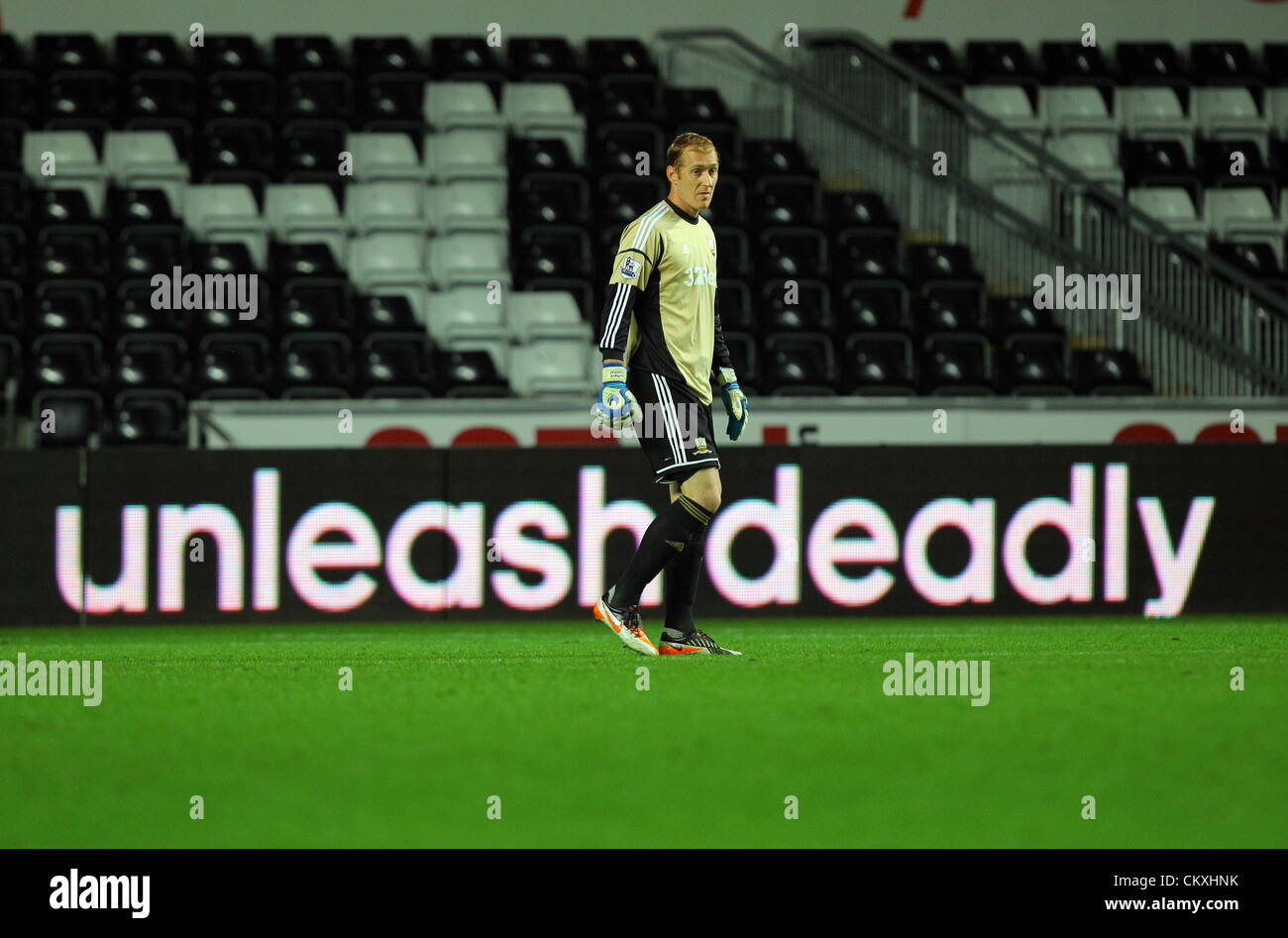 Swansea city goalkeeper gerhard tremmel hi-res stock photography and ...