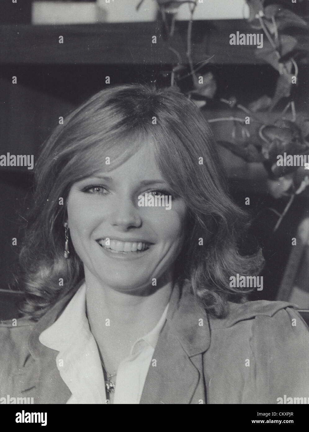 Cheryl tiegs hi-res stock photography and images - Alamy