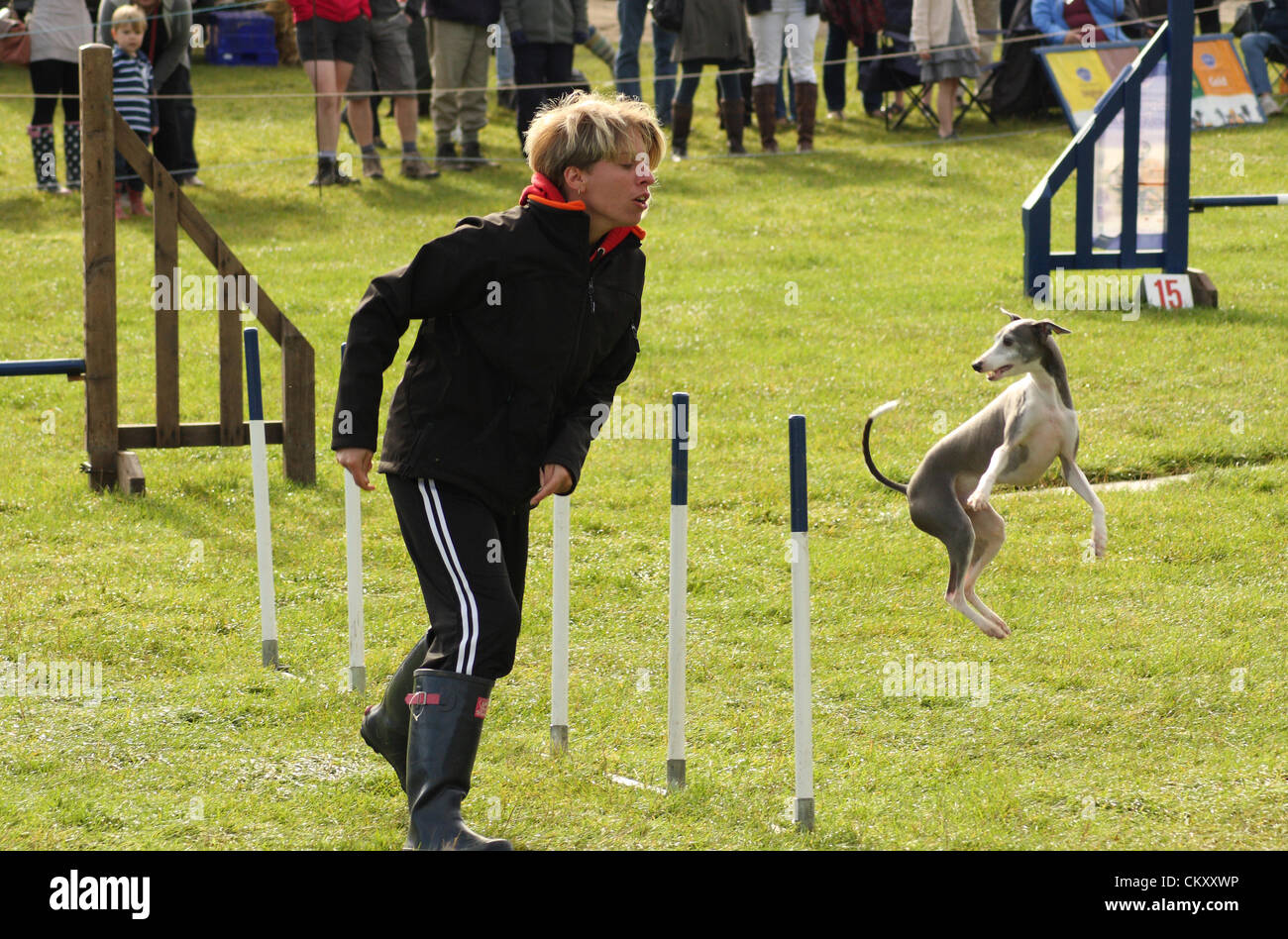 Handler running with her dog around an agility course field trial at ...