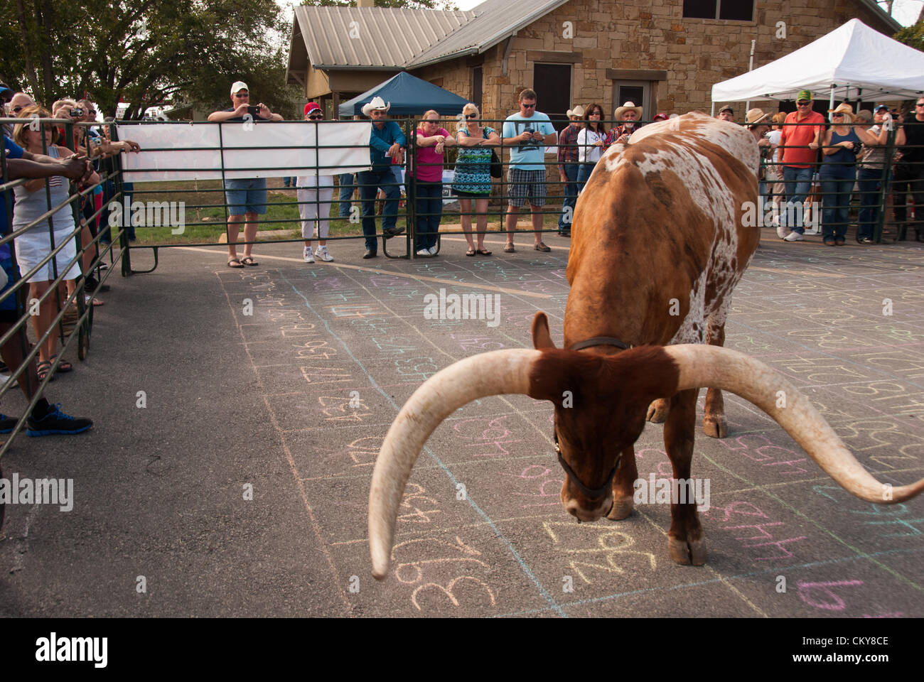 Cow patty bingo hi-res stock photography and images - Alamy