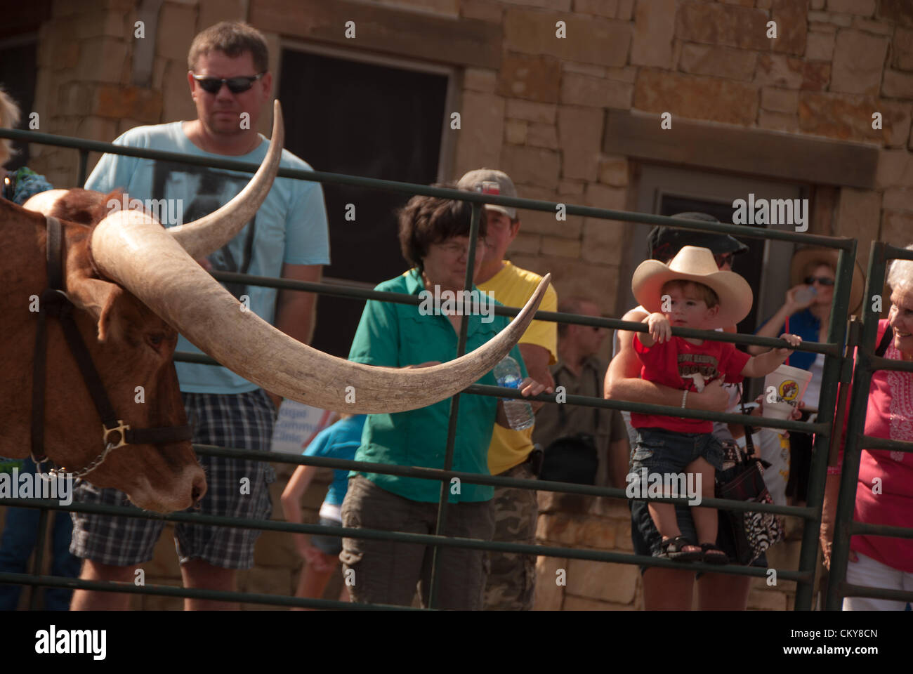 Cow patty bingo hi-res stock photography and images - Alamy
