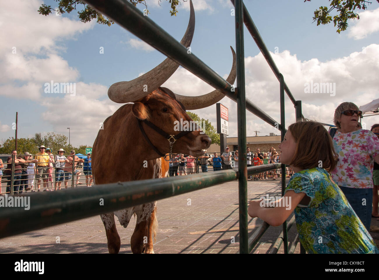 1 September 2012 Bandera, Texas, USA - At the Cow Patty Bingo event in ...
