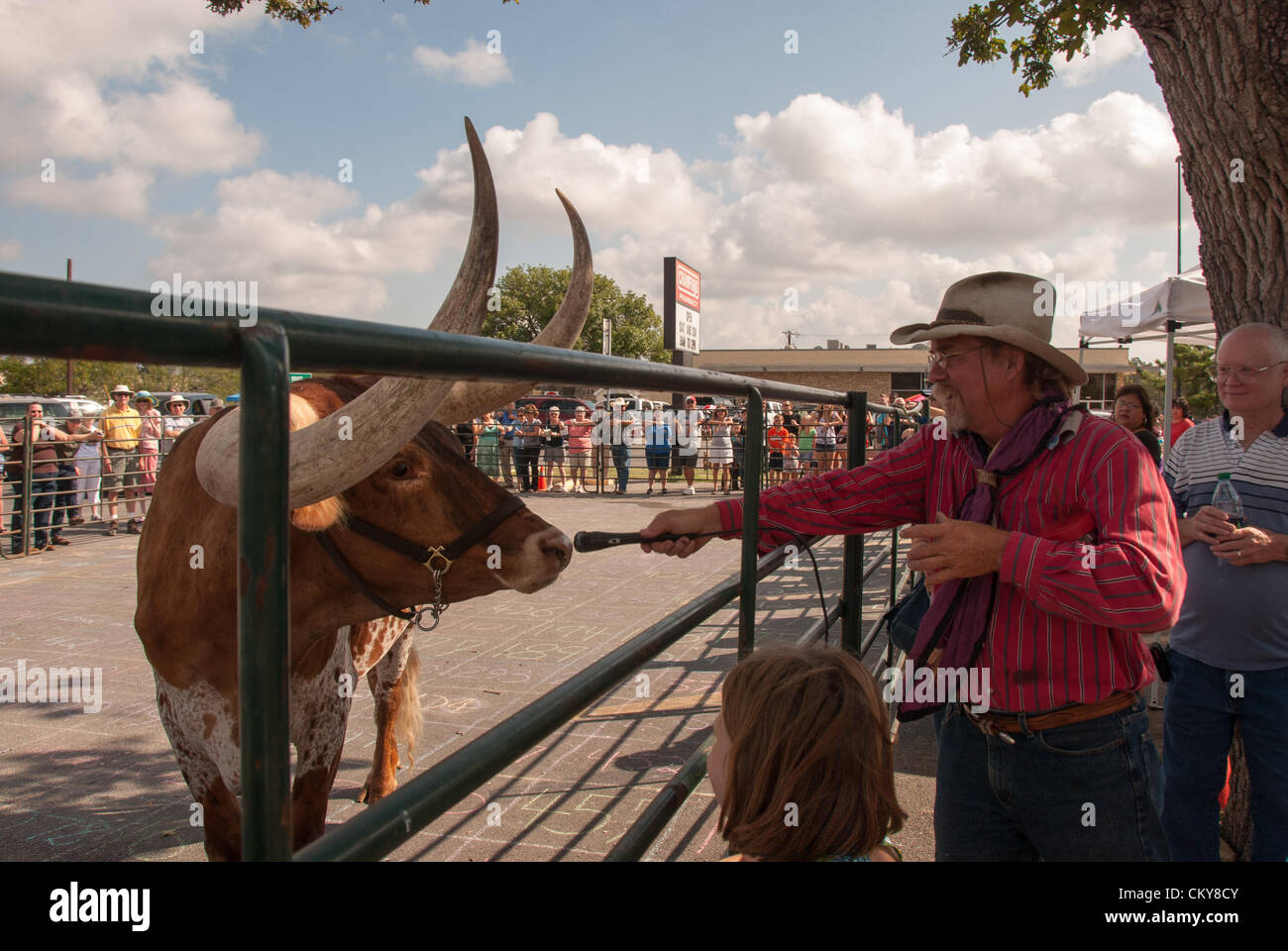 Cow patty bingo hi-res stock photography and images - Alamy