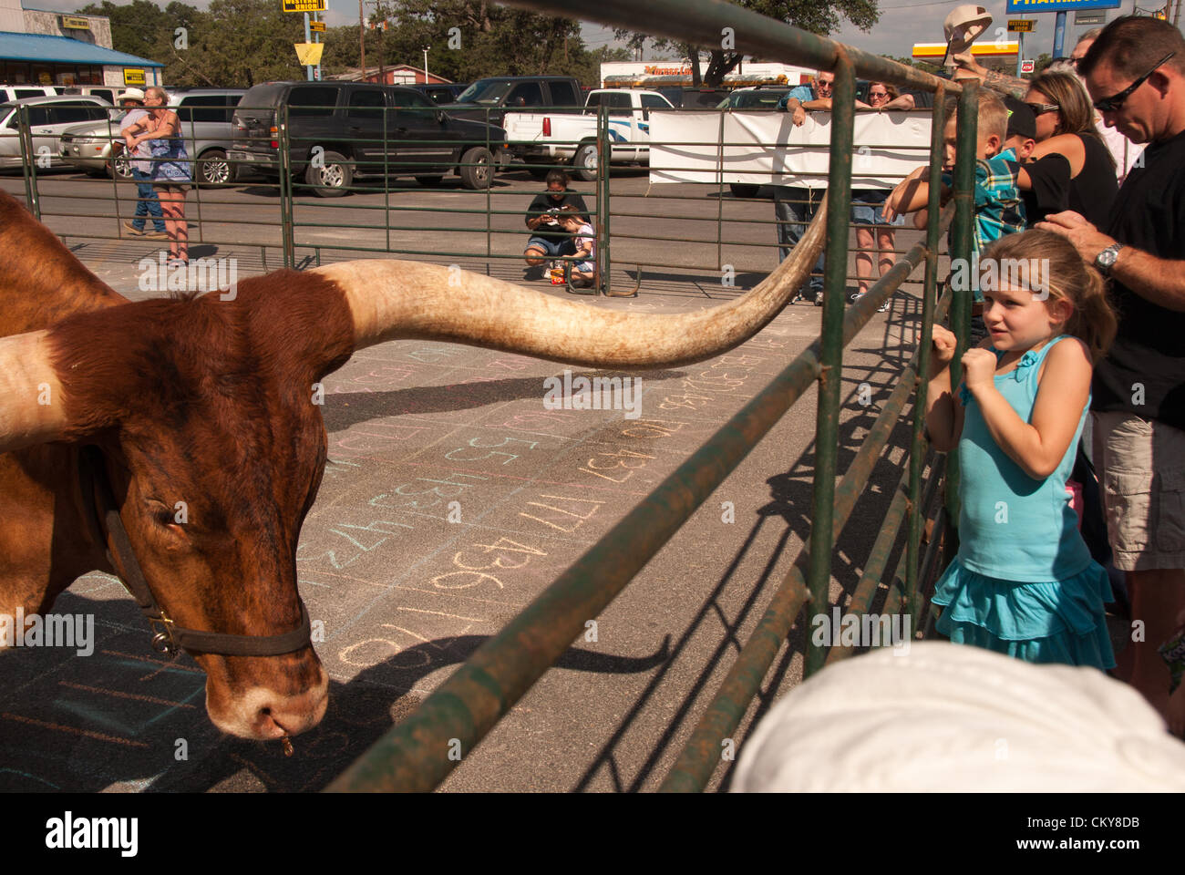 1 September 2012 Bandera, Texas, USA - At the Cow Patty Bingo event in ...