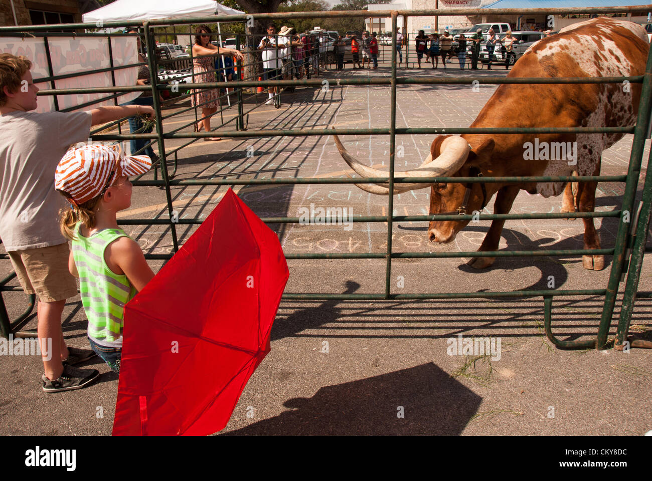 1 September 2012 Bandera, Texas, USA - At the Cow Patty Bingo event in ...