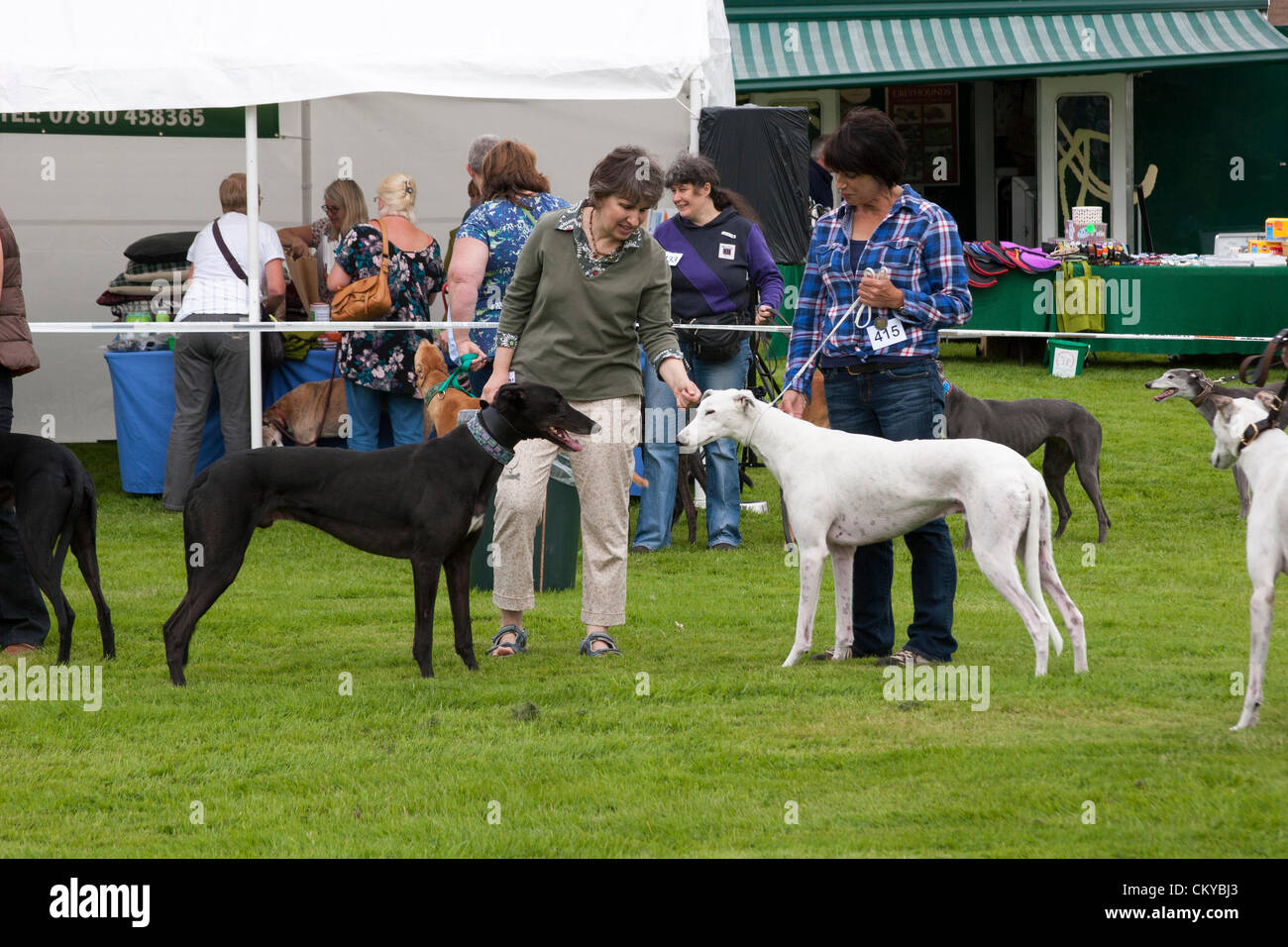 2nd September 2012. Northants Greyhound Rescue Gala Day. At the Holiday ...