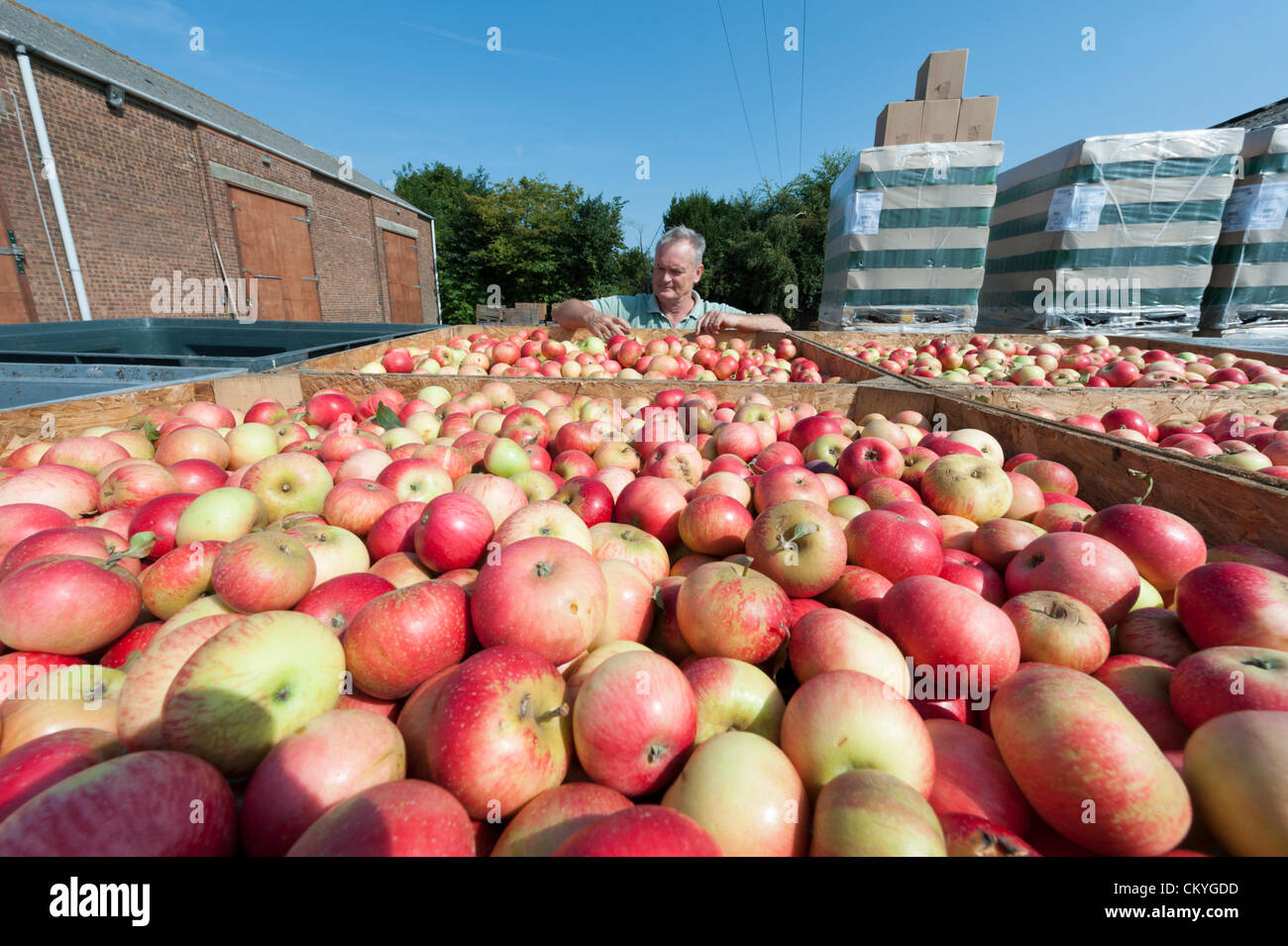 Apple process uk hi-res stock photography and images - Alamy