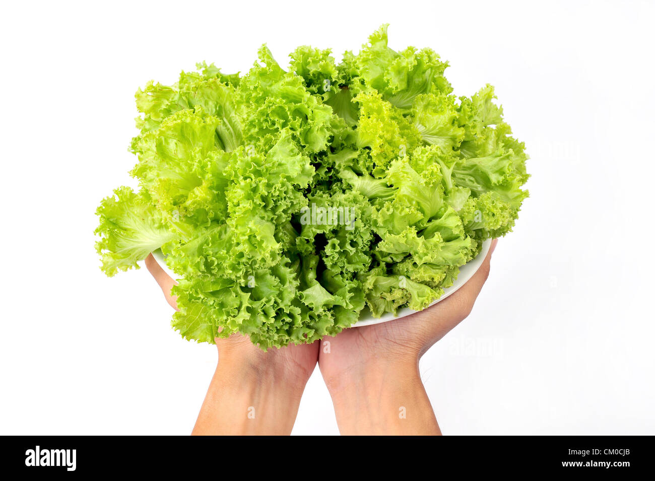 Lettuce roots Cut Out Stock Images & Pictures - Alamy