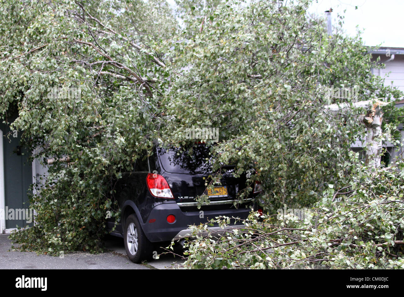 Car parked between trees hi-res stock photography and images - Alamy