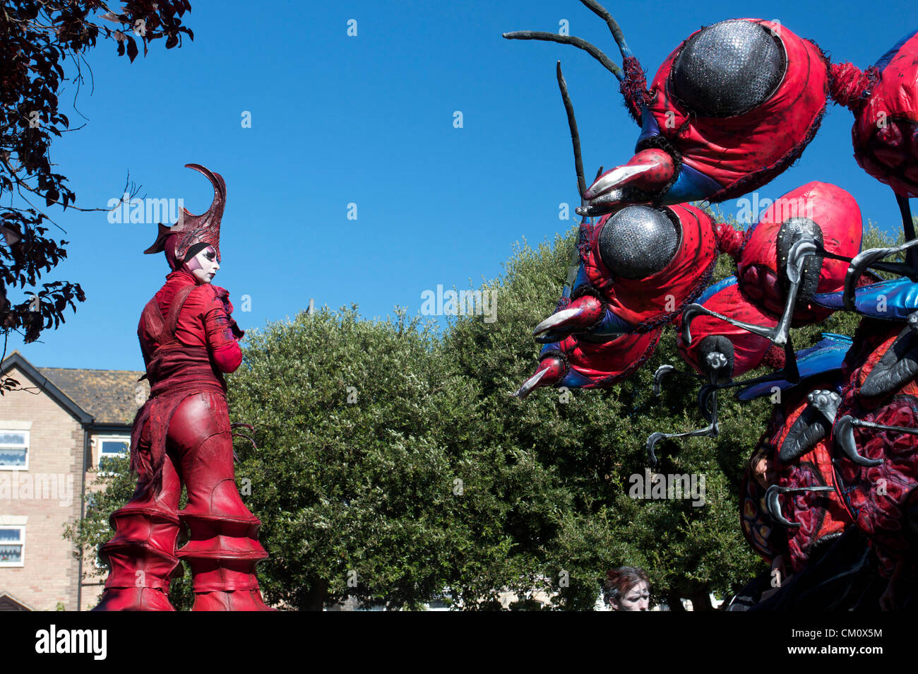 Giant stilt walking insects hi-res stock photography and images - Alamy
