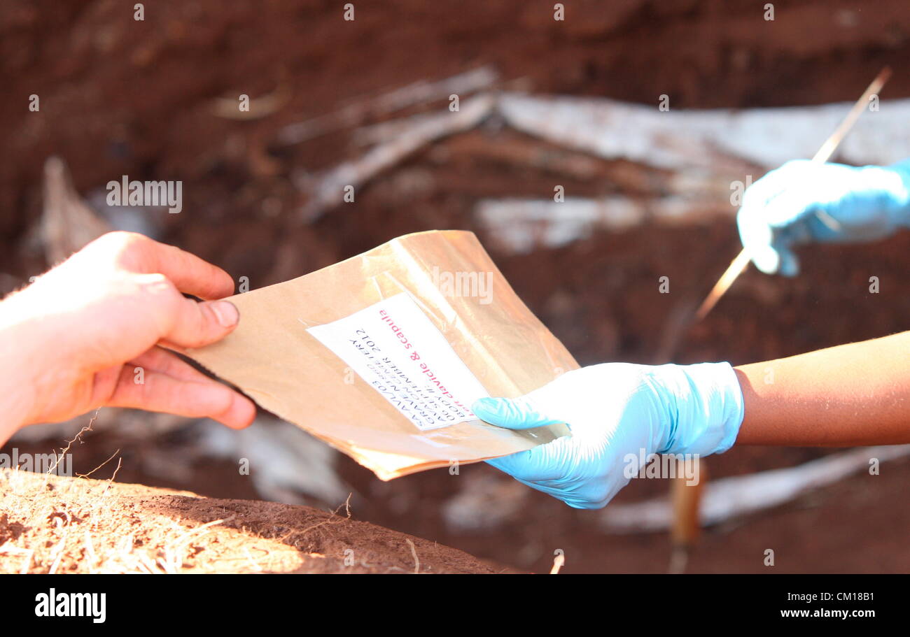 Exhumed body hi-res stock photography and images - Alamy