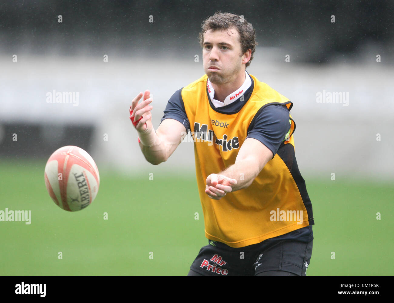 Steve haag hi-res stock photography and images - Alamy