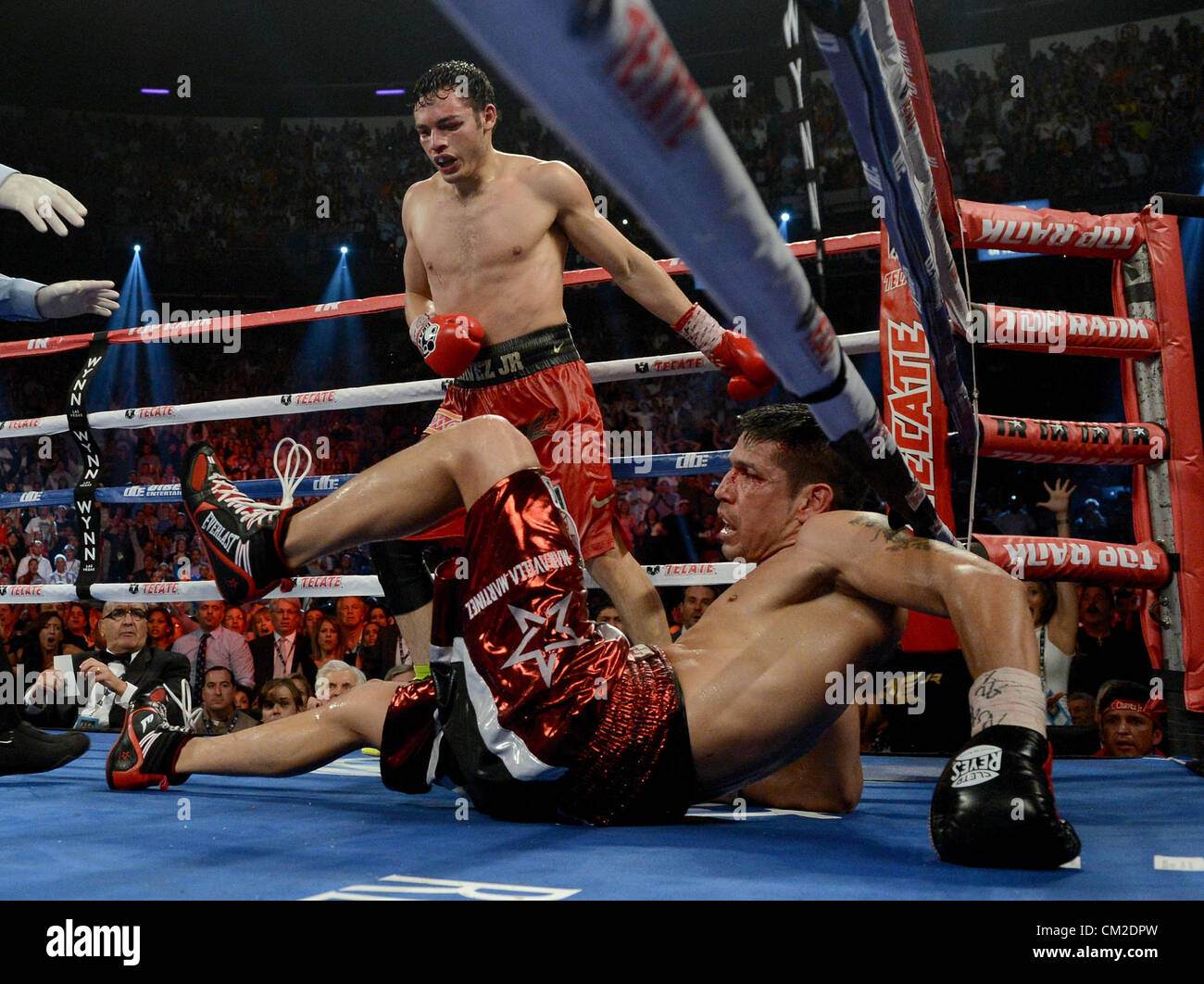 Julio Cesar Chavez Wallpaper