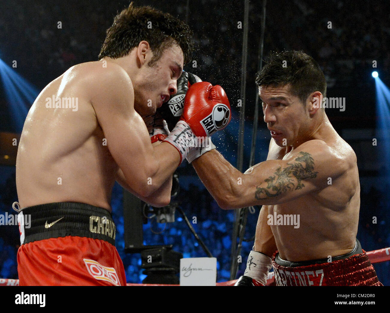 Carlos Pena Jr Boxers