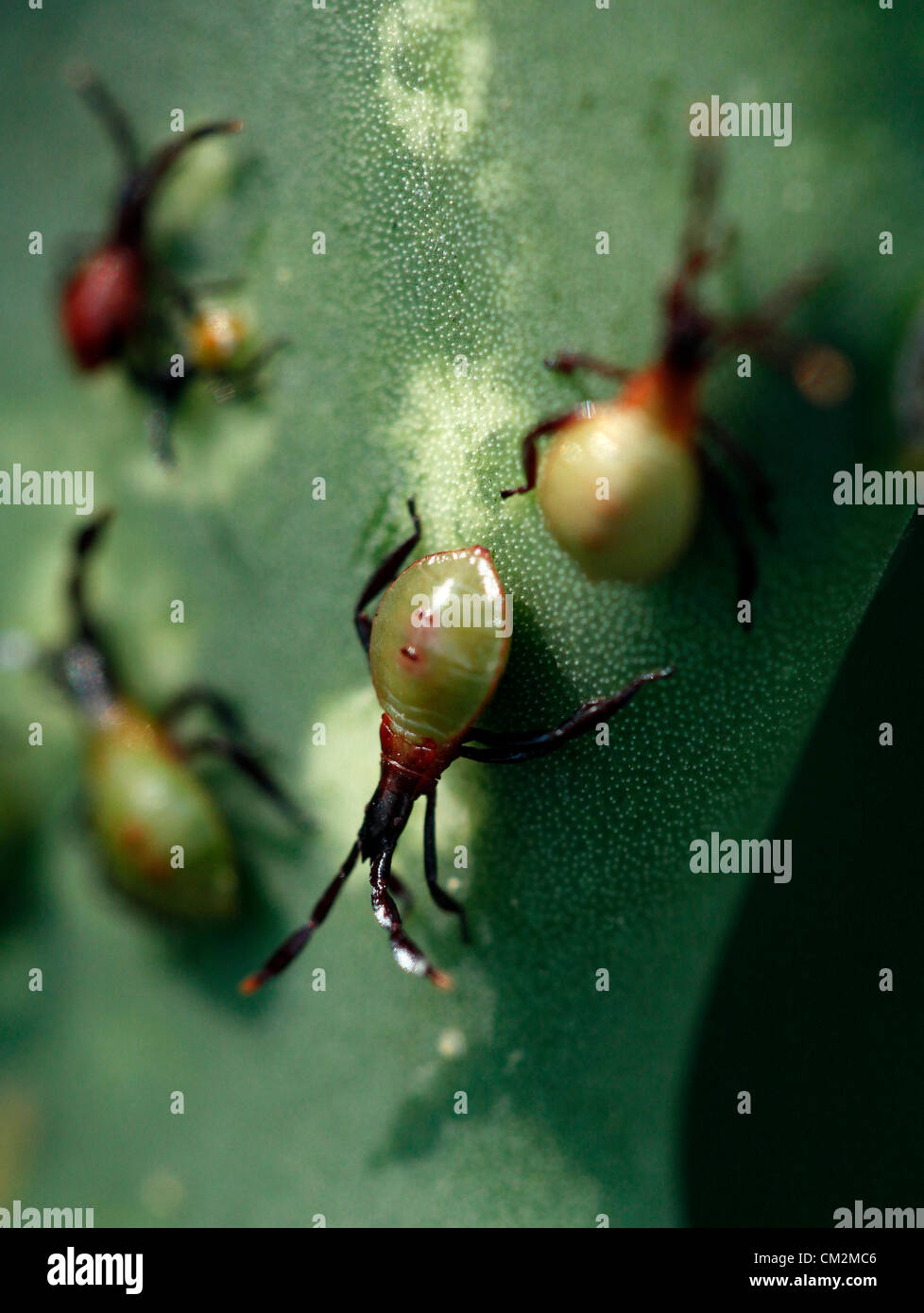 Effectes hi-res stock photography and images - Alamy