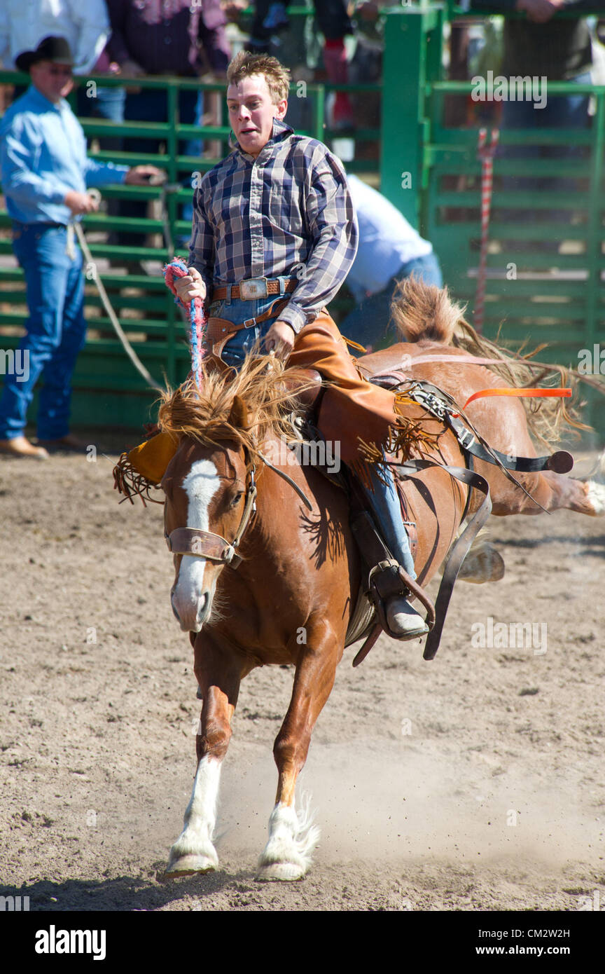 Small town rodeos hi-res stock photography and images - Alamy