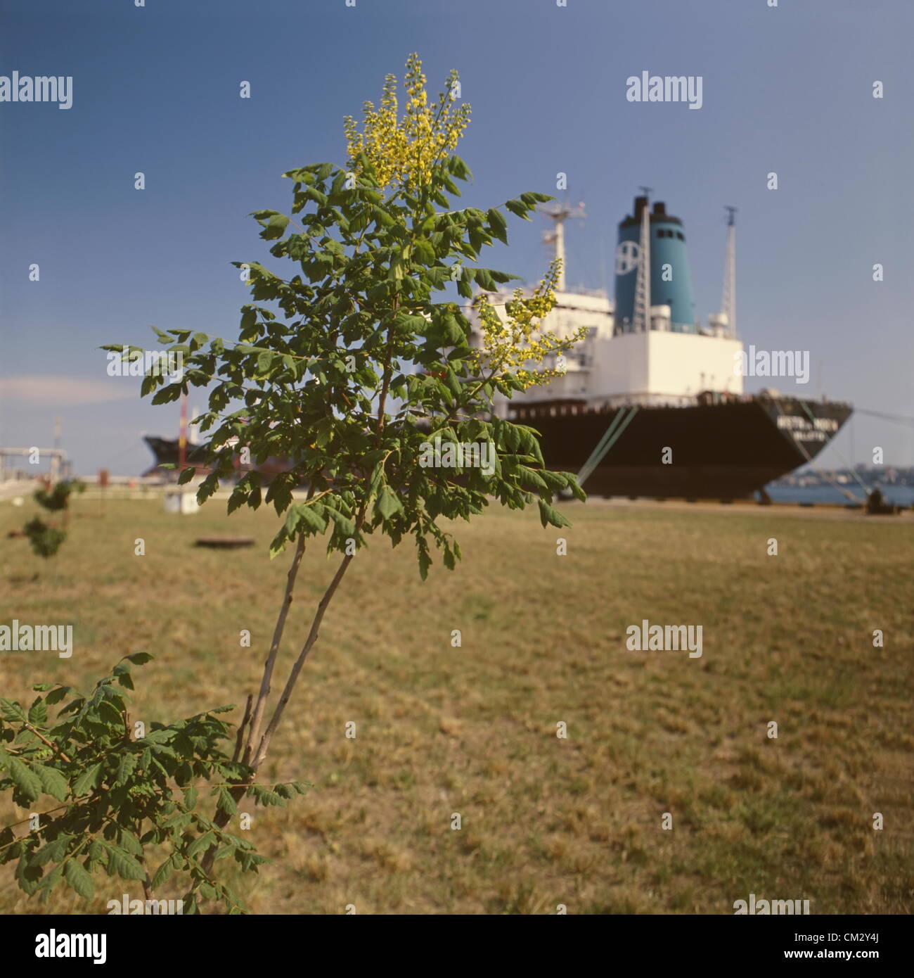 Tanker superstructure hi-res stock photography and images - Alamy