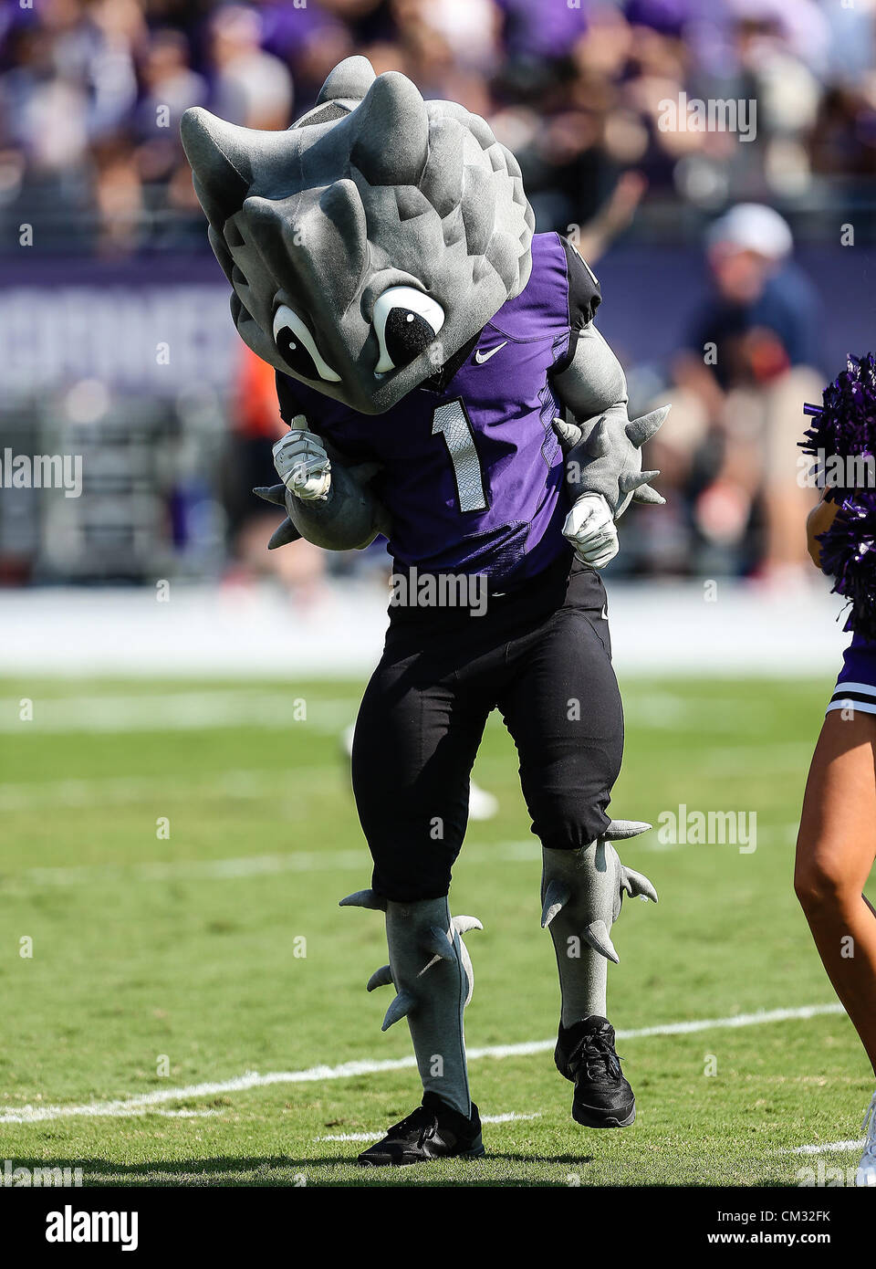 Tcu horned frog cheerleaders hi-res stock photography and images - Alamy
