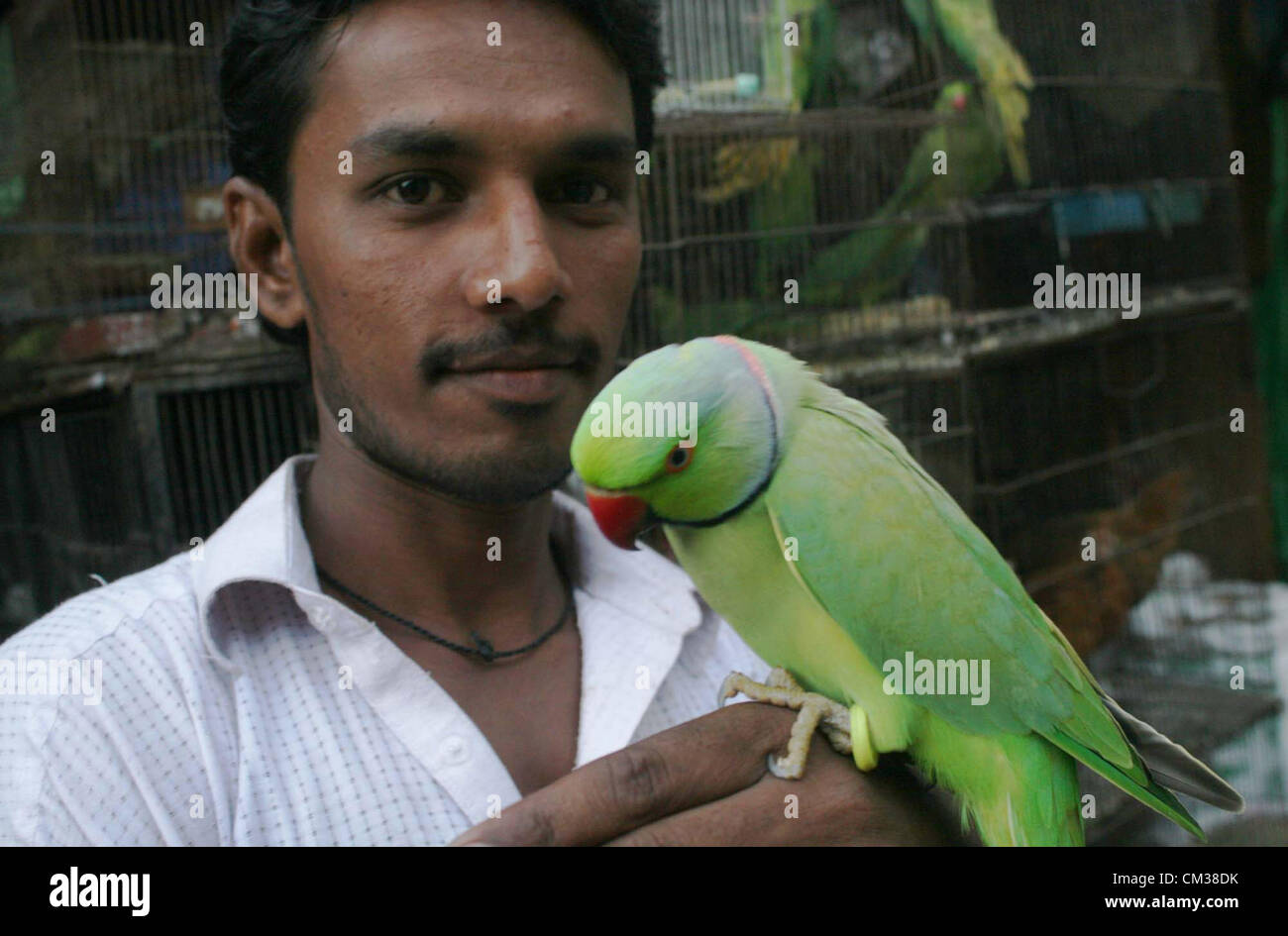 A man sells green parrot to earn his livelihood for support his family ...