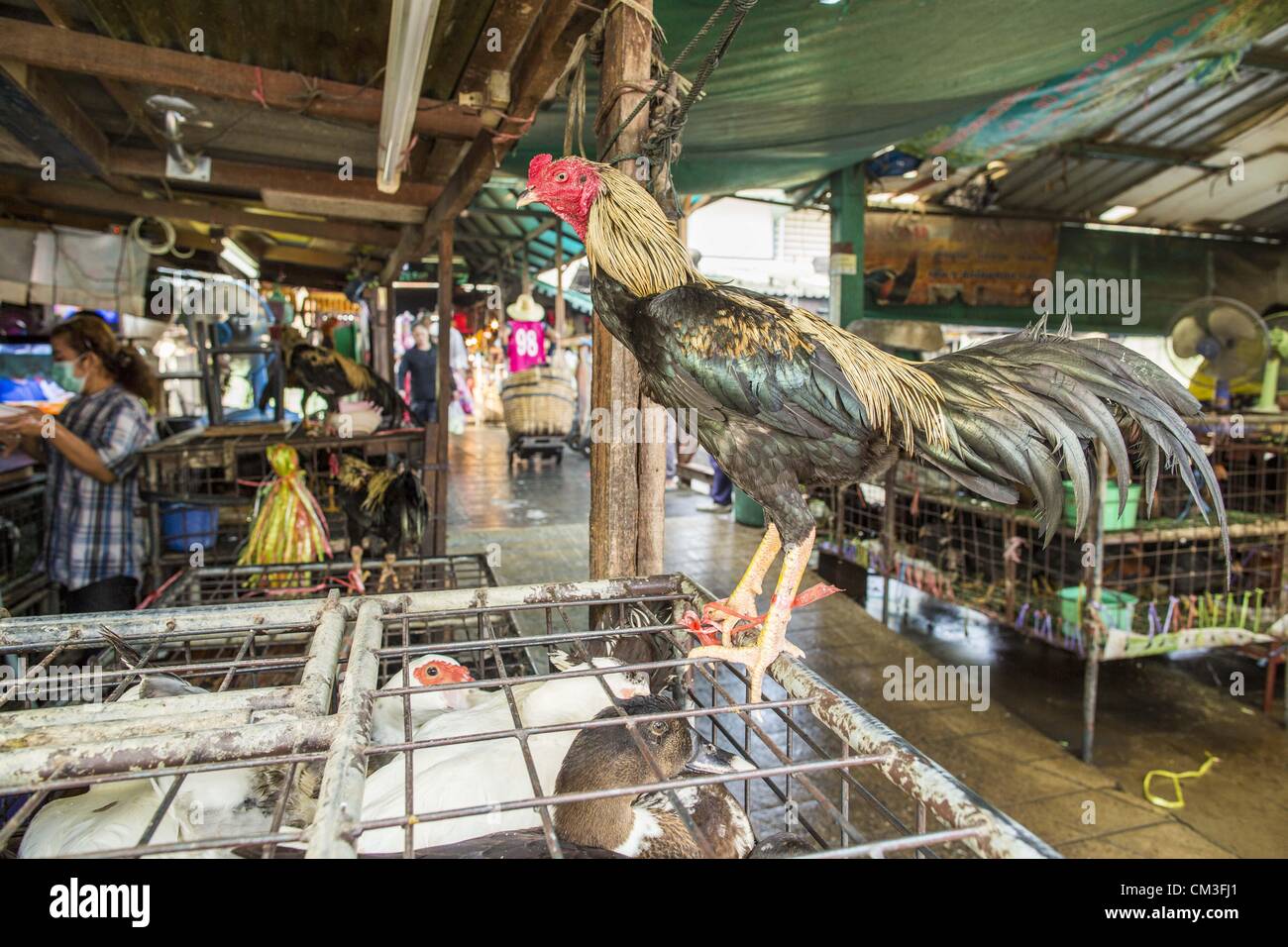 Khlong toei bangkok slum hi-res stock photography and images - Alamy