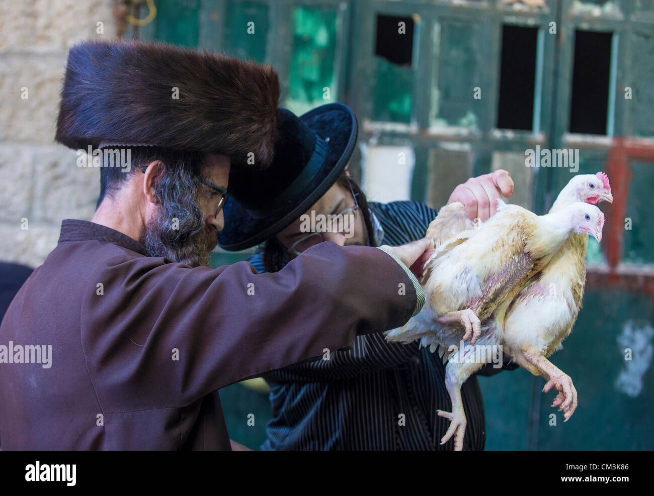 Sacred Chickens Stock Photos & Sacred Chickens Stock Images - Alamy