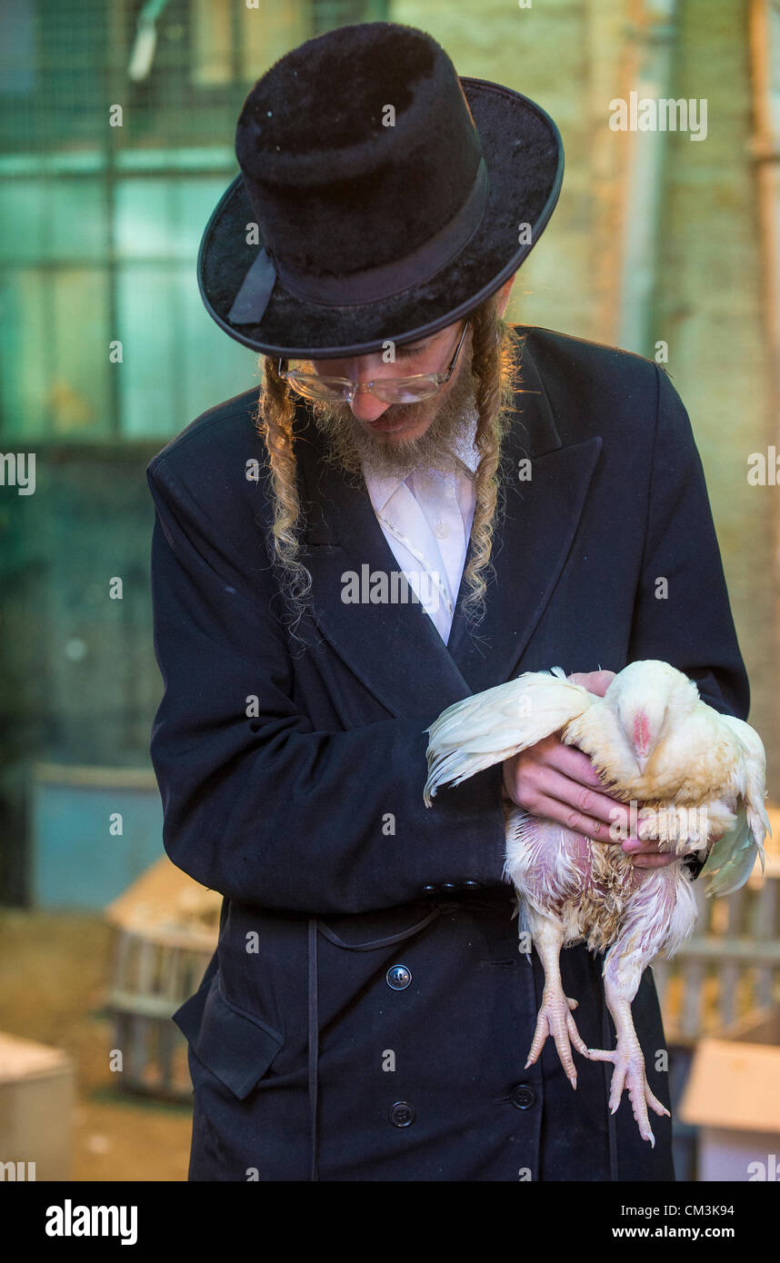 An ultra Orthodox Jewish man holds chicken during the Kaparot ceremony ...