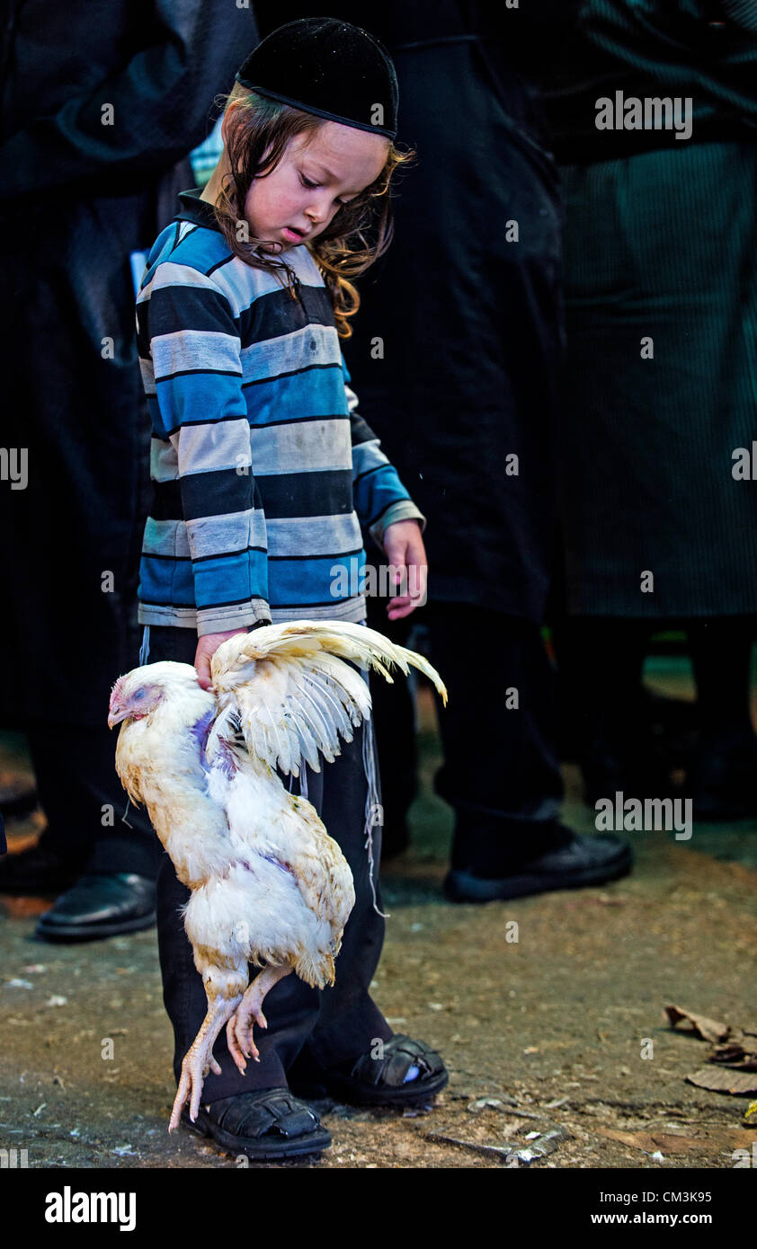 An ultra Orthodox Jewish child holds chicken during the Kaparot ...