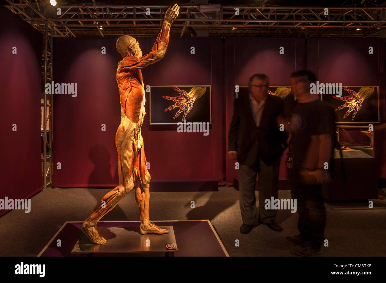 Italy Torino Palaisozaki the exhibition The Human Body Exhibition ...