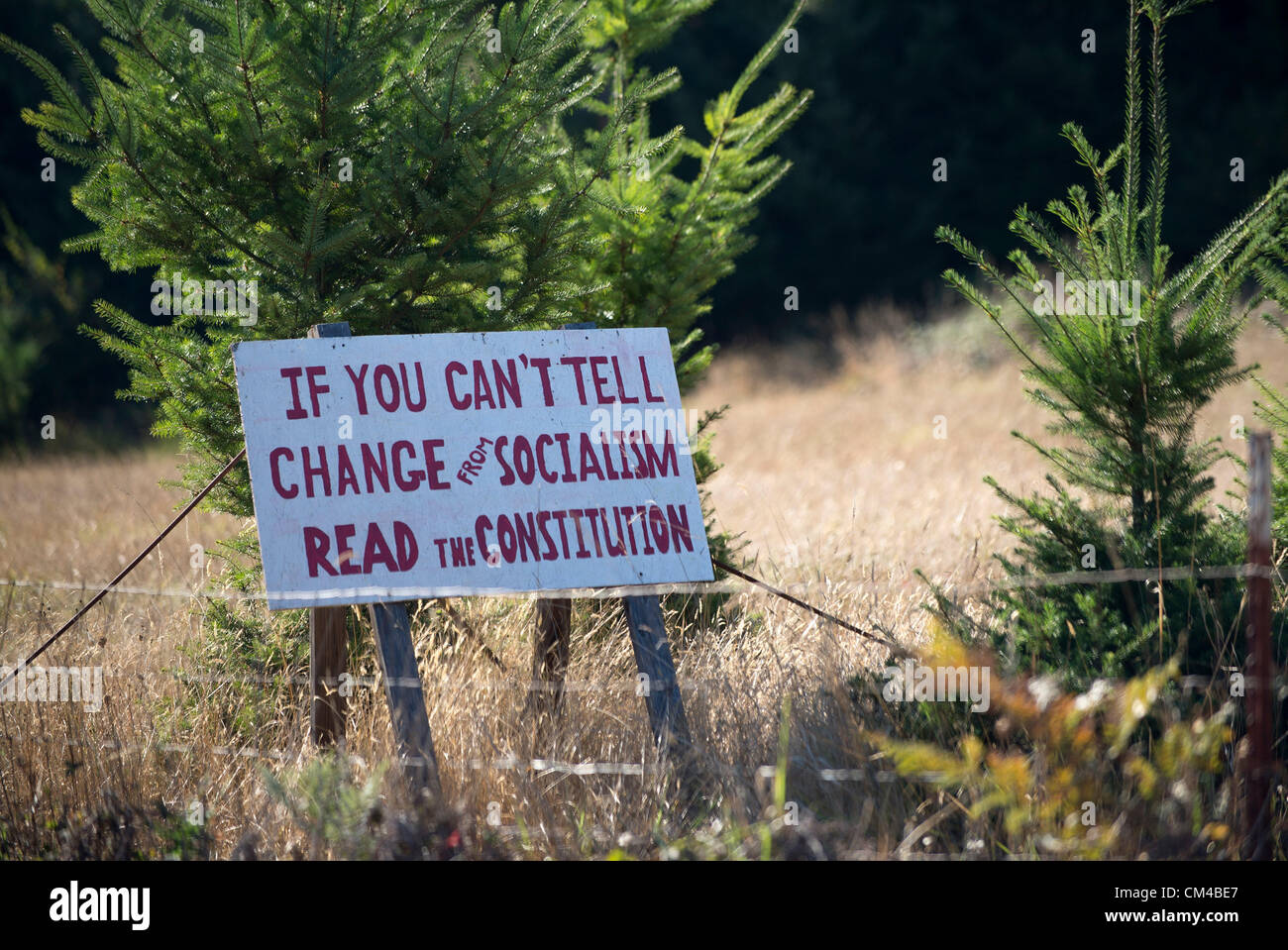 Oct. 1, 2012 - Roseburg, Oregon, U.S - A hand made political yard sign ...