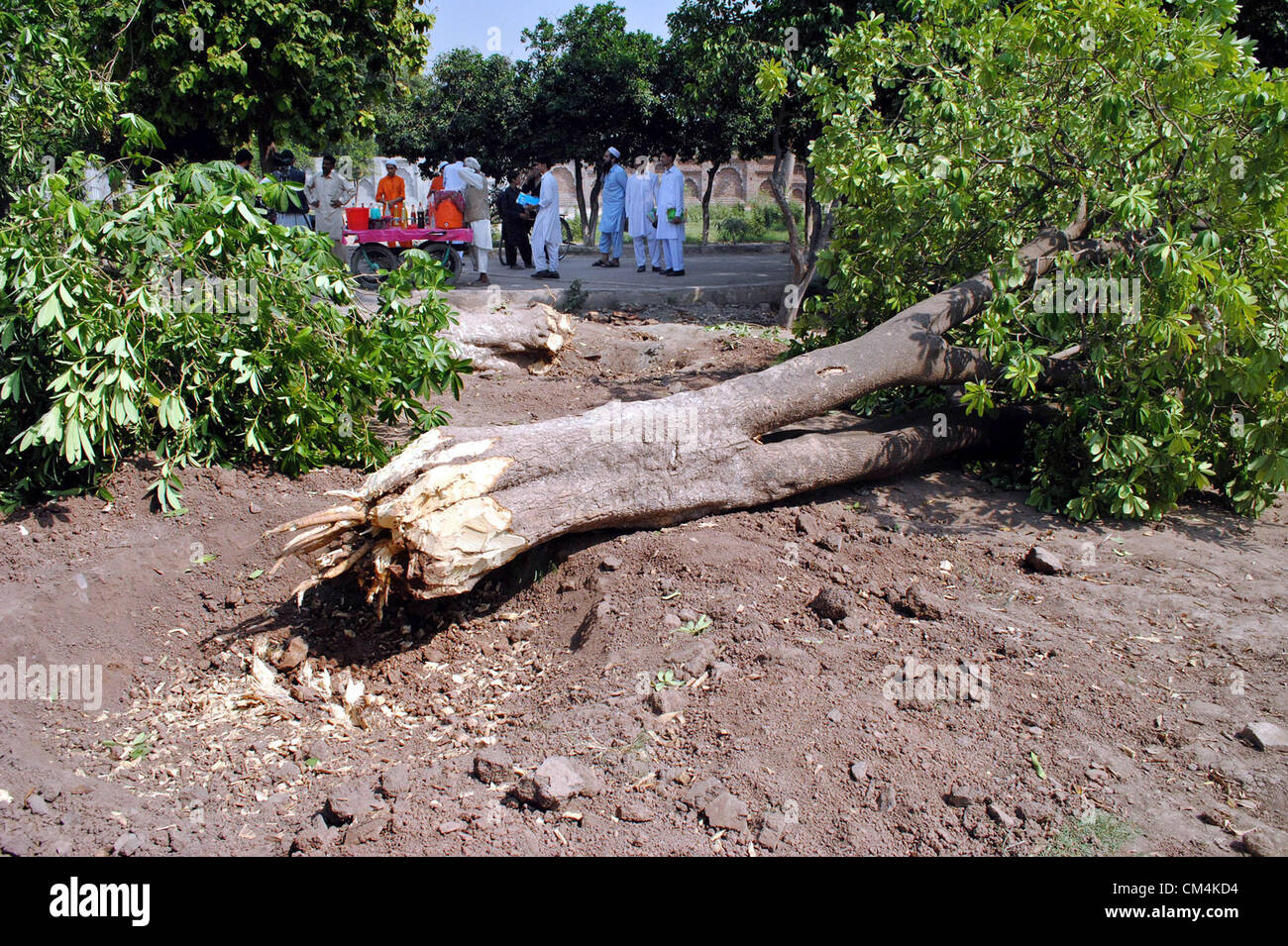 A view of Shahi Bagh where more than fifty trees have been cut for U.S ...