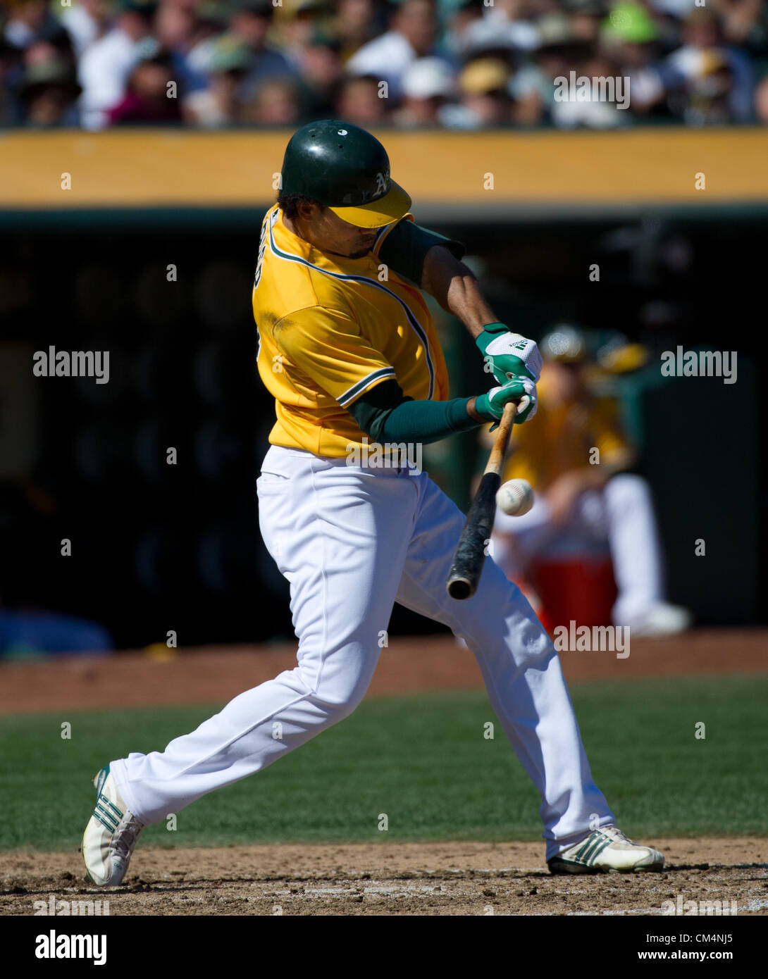 Jose coco hi-res stock photography and images - Alamy