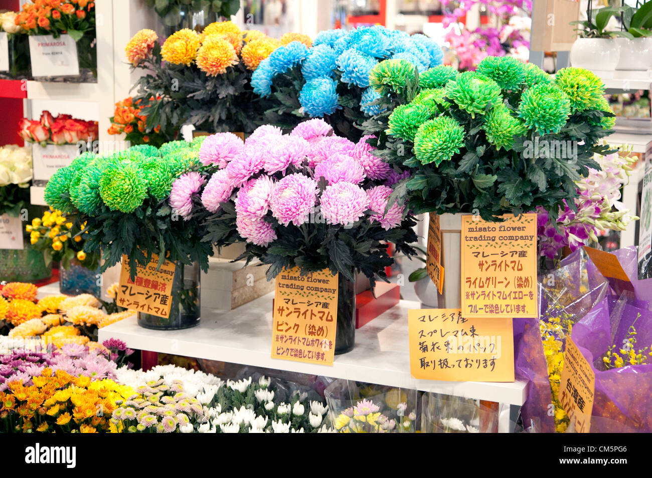 October 10, 2012, Chiba, Japan - Colorful flowers at IFEX expo 2012 ...