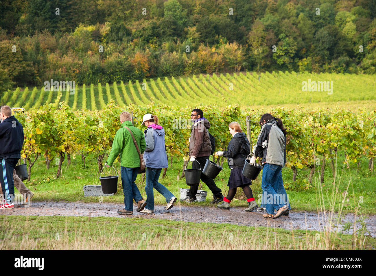 Peter titmuss hi-res stock photography and images - Alamy