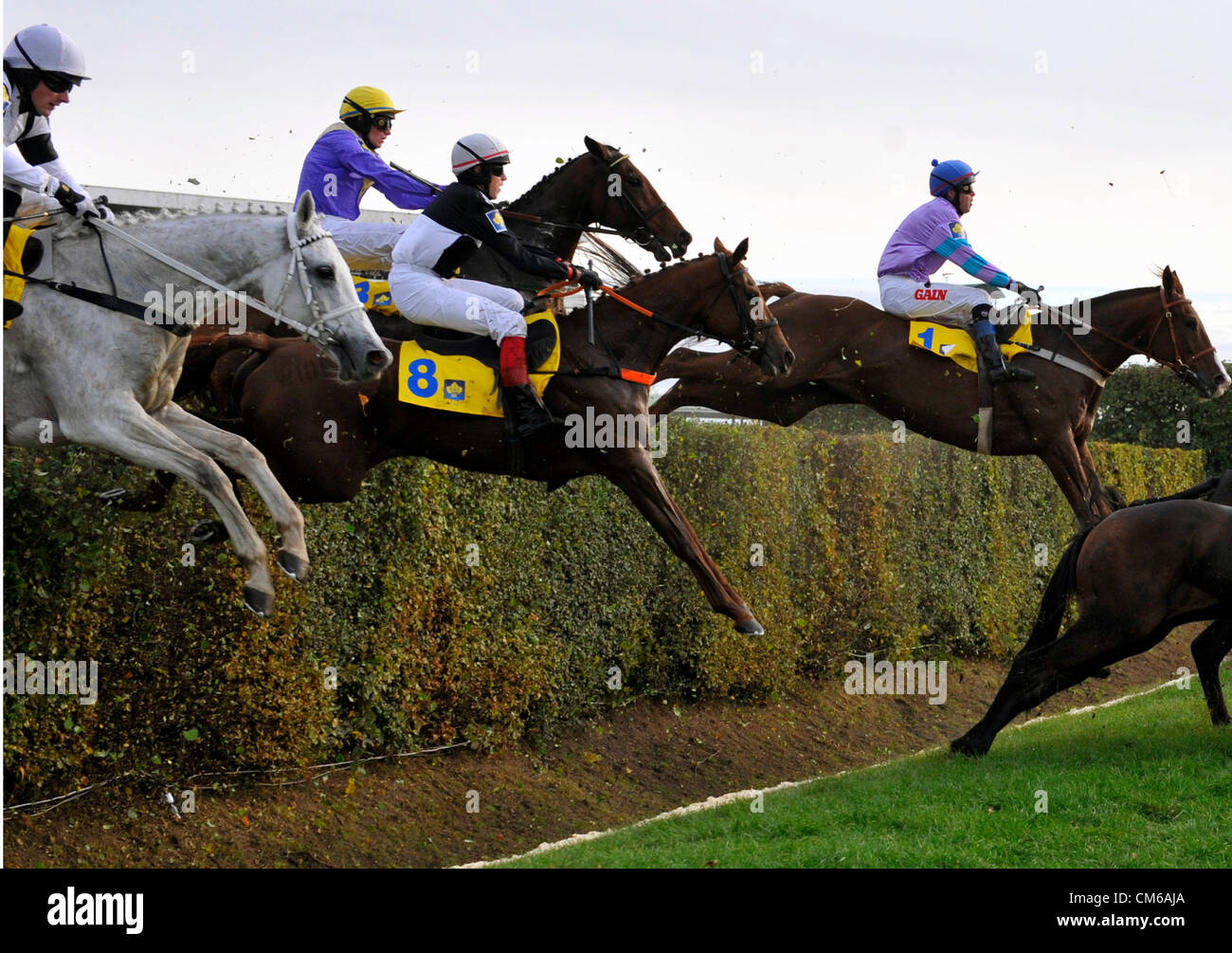 Grand Pardubice (Velka pardubicka) steeplechase in Pardubice, Czech ...