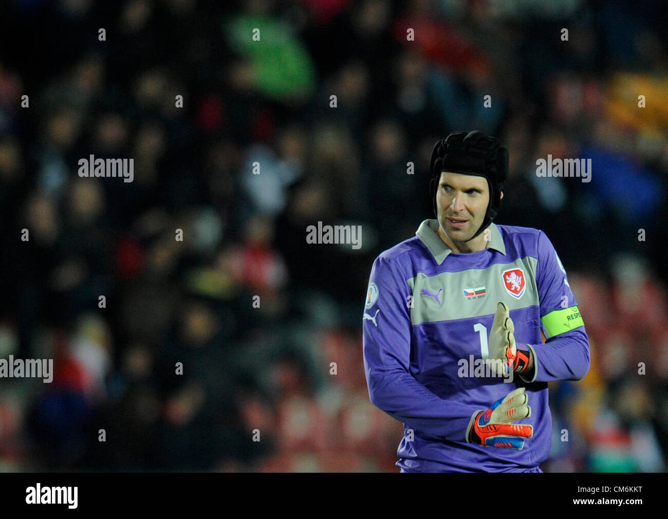 Czech goalkeeper Petr Cech during a World Cup 2014 Group B ...