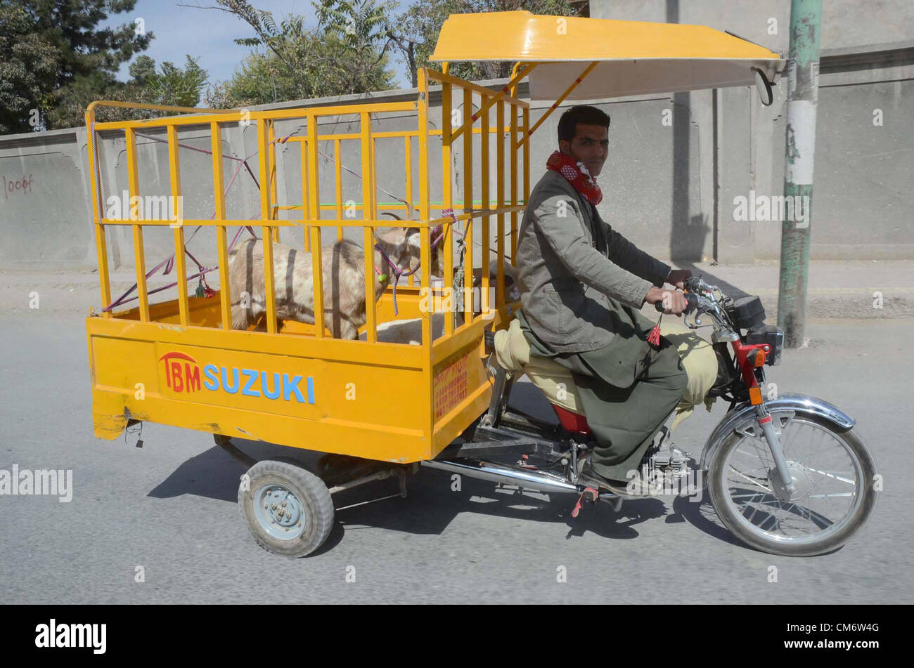 A man carries on his Chin Chi Rickshaw for scarifies on Eid- ul-Azha in ...