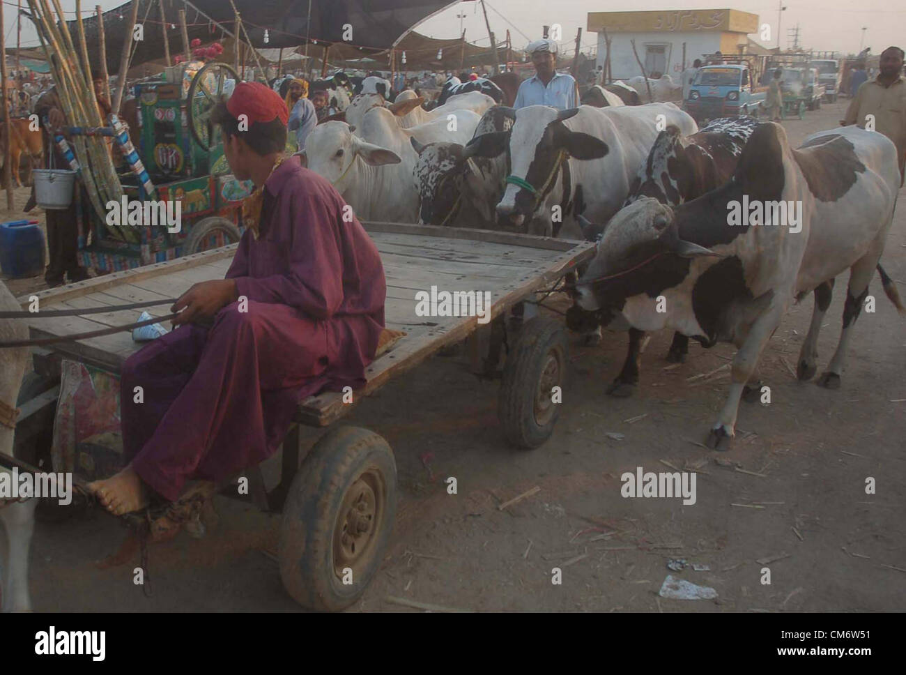 Cattle dealer sells cows at a make- shift sacrificial animals market ...