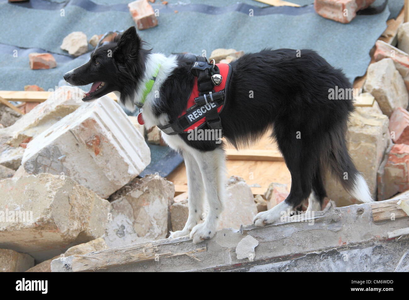 Usar new zealand hi-res stock photography and images - Alamy
