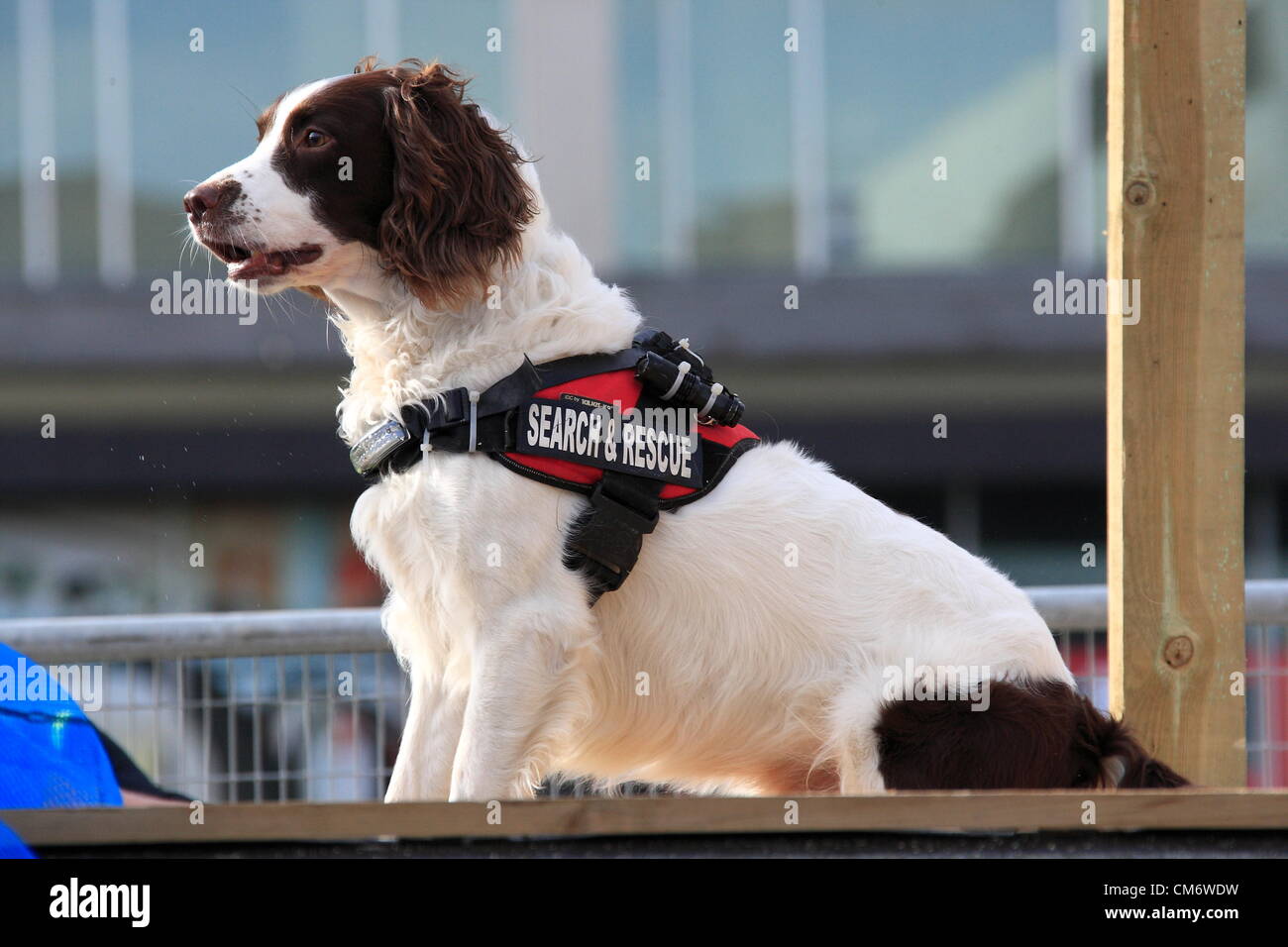 Usar new zealand hi-res stock photography and images - Alamy