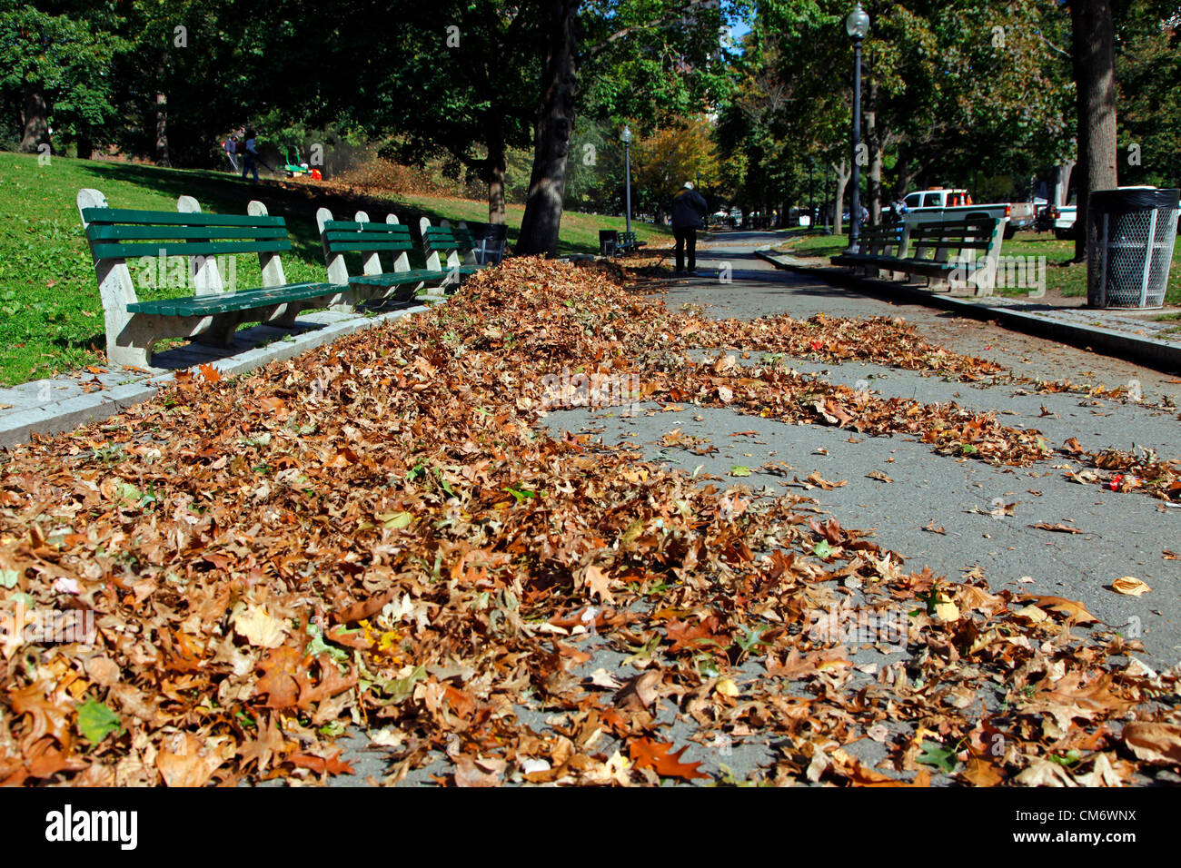 Boston, USA. 18th October 2012. Changing colours of leaves in Fall as ...