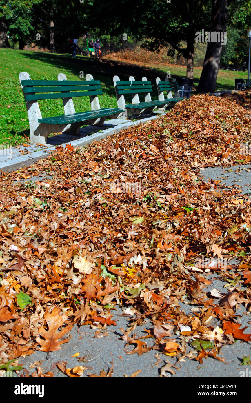 Boston, USA. 18th October 2012. Changing colours of leaves in Fall as ...