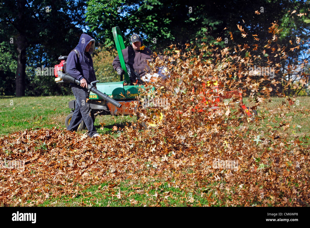 Leaves on tree blowing in hi-res stock photography and images - Alamy