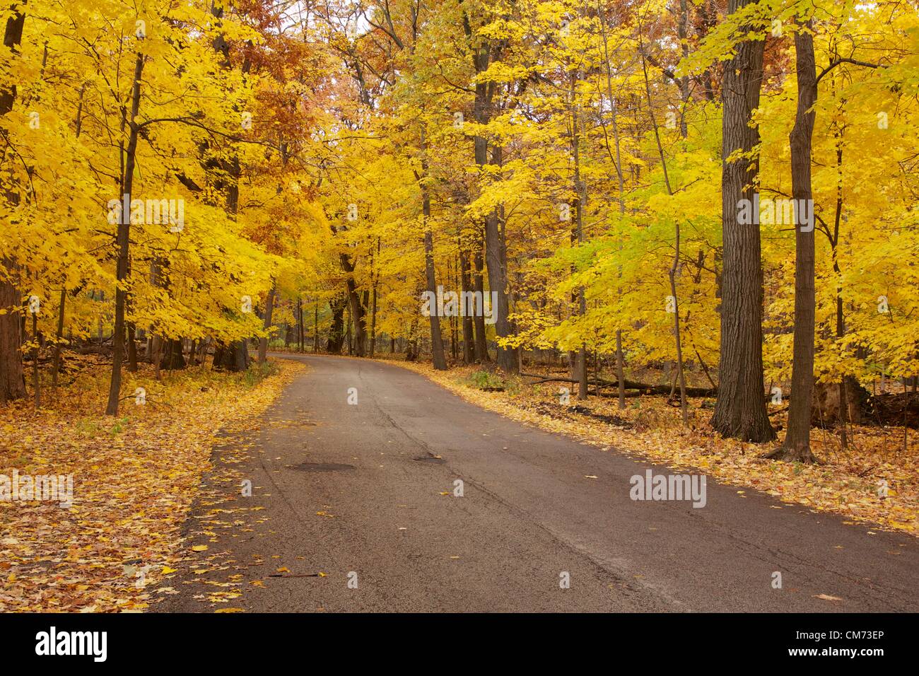 Cook county forest preserves hi-res stock photography and images - Alamy