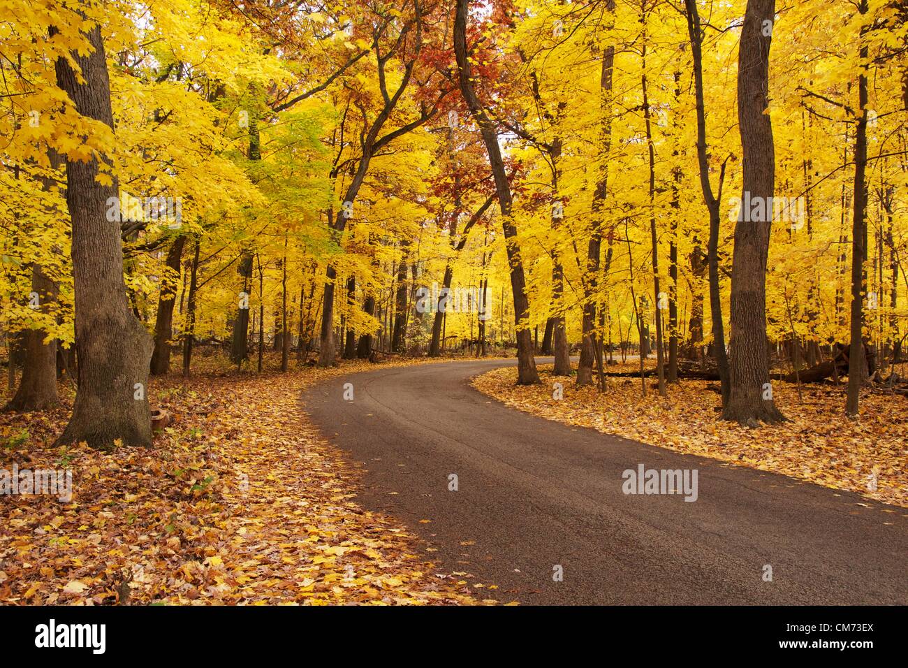 Cook County Forest Preserve High Resolution Stock Photography and ...