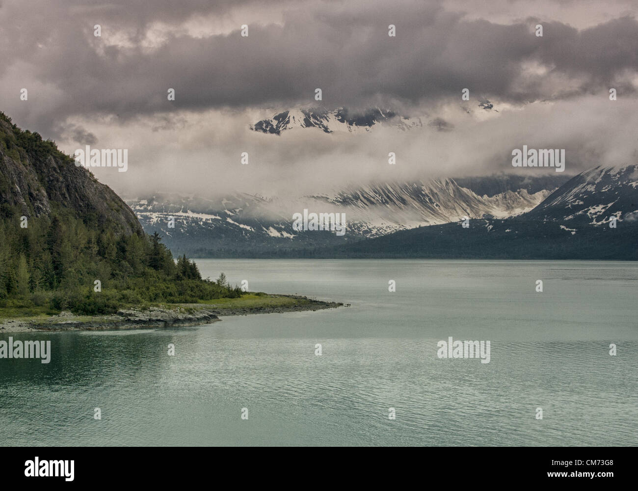 July 3, 2012 - Glacier Bay, Alaska, US - Spruce and Hemlock forests ...