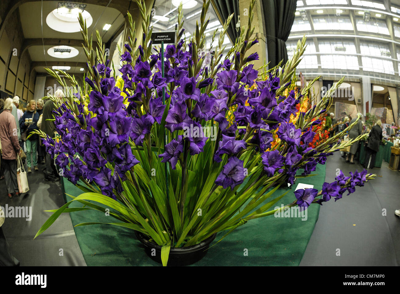 Colourful and vibrant late-season blooms at the RHS London Shades of ...