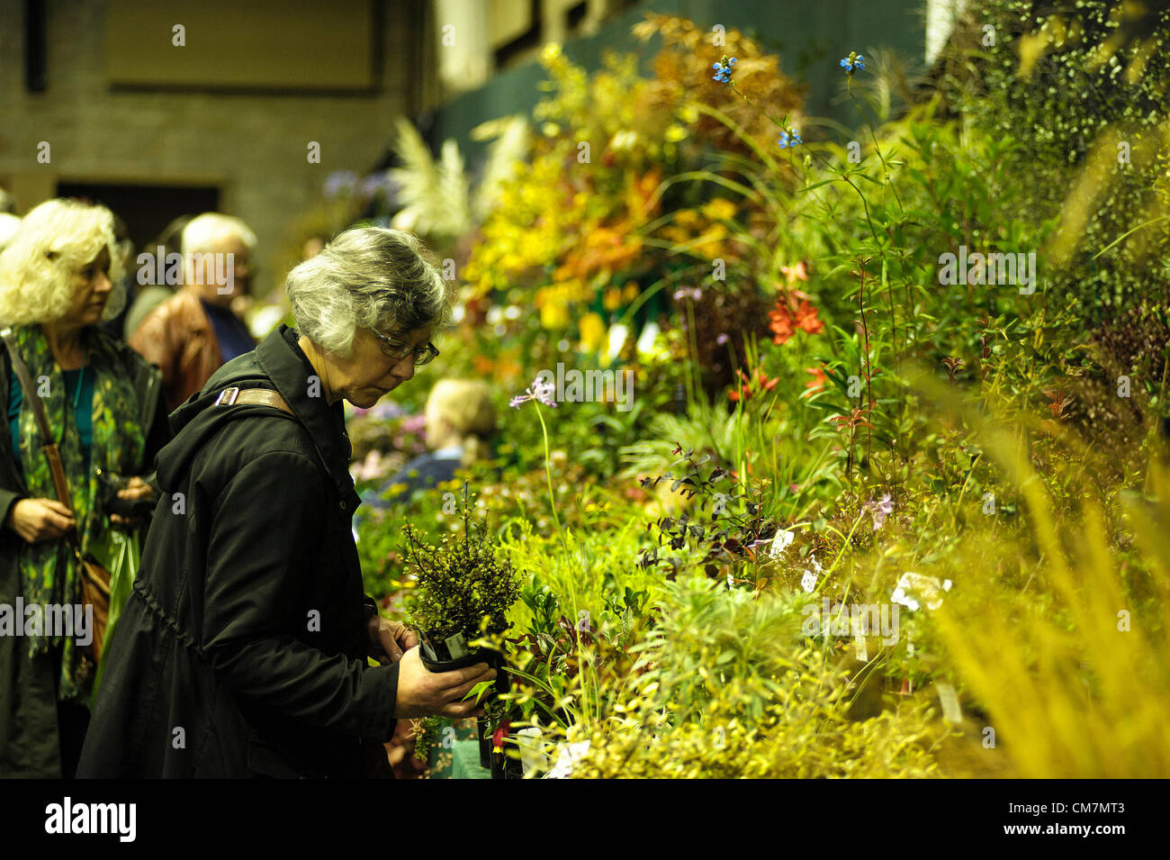 Colourful and vibrant late-season blooms at the RHS London Shades of ...
