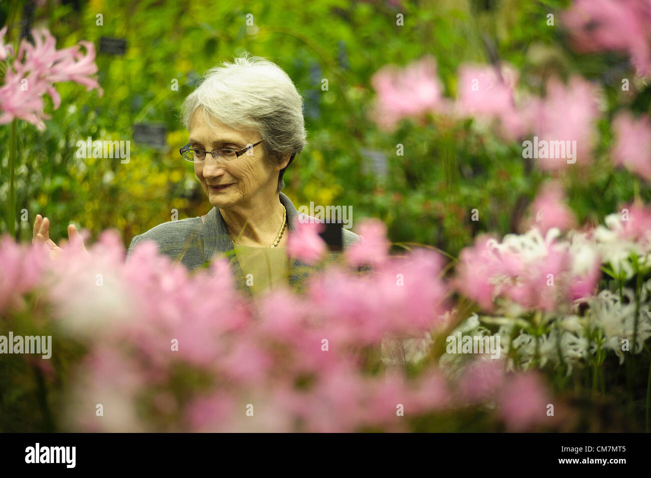 Colourful and vibrant late-season blooms at the RHS London Shades of ...