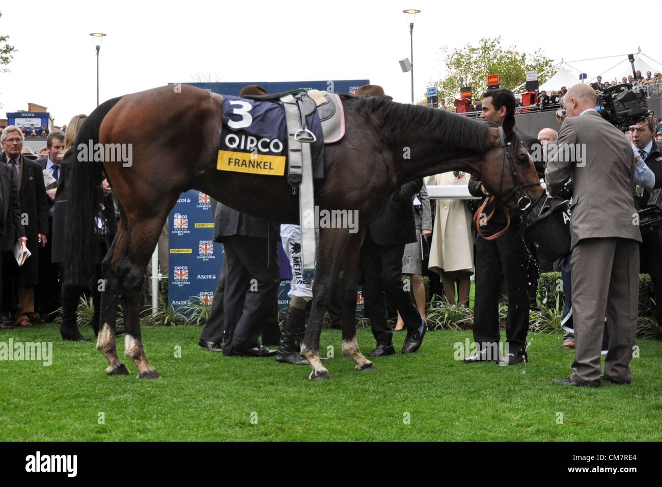 Frankel and racehorse High Resolution Stock Photography and Images - Alamy