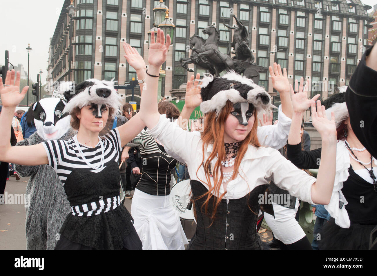 Badger fancy dress hi-res stock photography and images - Alamy